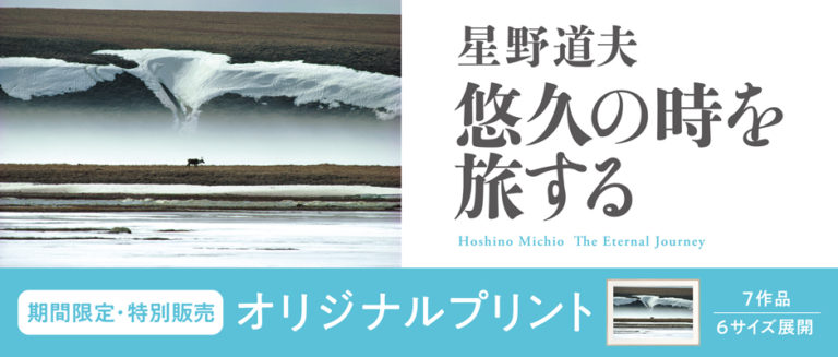 【Crevis Online Store】星野道夫「悠久の時を旅する」オリジナルプリント販売についてのお知らせ | 株式会社クレヴィス