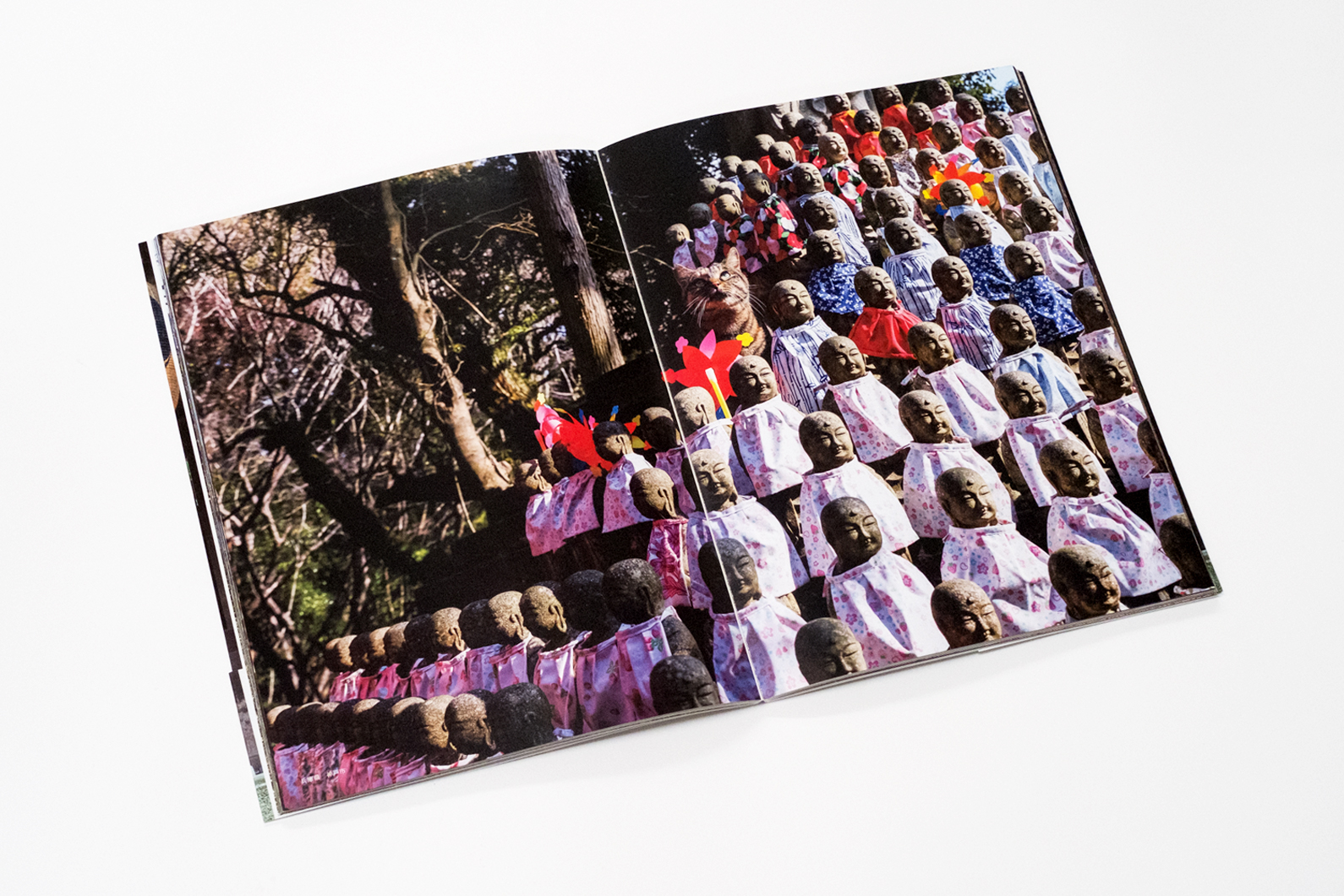 【CREVIS ONLINE STORE】今月の1冊～THIS MONTH’S PICK～写真集『岩合光昭の日本ねこさがし』＆写真集『岩合光昭 ...