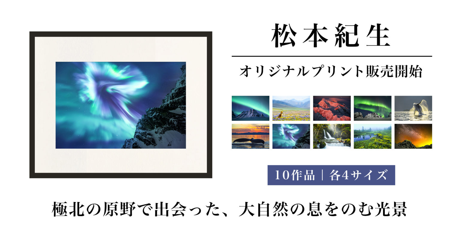 【Crevis Online Store】松本紀生オリジナルプリント販売のお知らせ | 株式会社クレヴィス